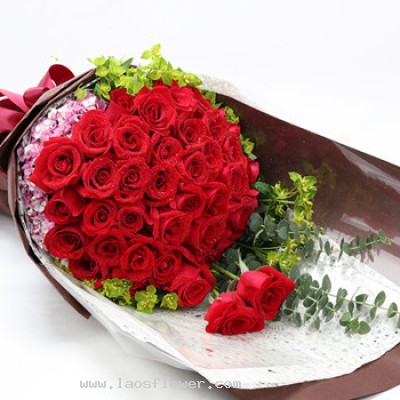 A bouquet of 48 red roses is perfect to send to your loved ones.