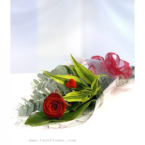 A single red roses accent with leaves and wrapped in paper and plastic.